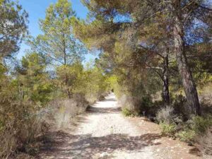 Cala Monjo - Ausflug zum FKK Strand, Naturparadies & Aussicht
